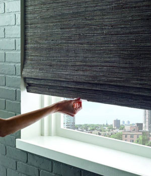 Roller Shades